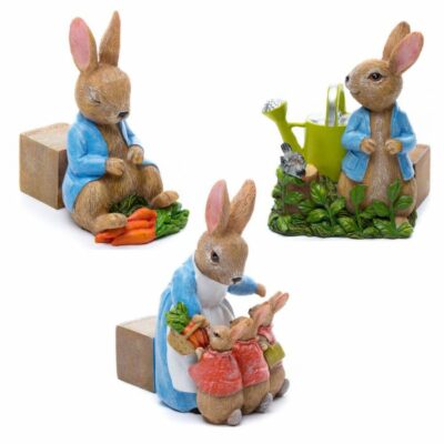 Peter Rabbit Potty Feet - Set 5 - Thomas Online