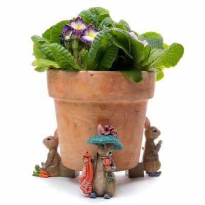 Peter Rabbit Potty Feet - Set 2 - Thomas Online