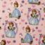 Sofia the First Wrapping Paper - Roll 2m X 700mm - Thomas Online