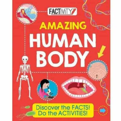 Activity Book - Factivity Amazing Human Body Activity Book - Thomas Online