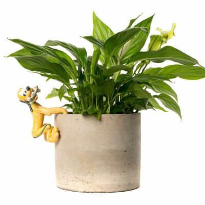 Mickey And Minnie Mouse Pot Buddies - Pluto - Thomas Online